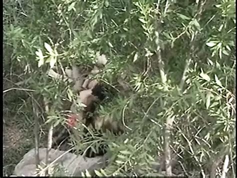 Jordan Lee Porn Videos Porn Star Sex Scenes XHamster