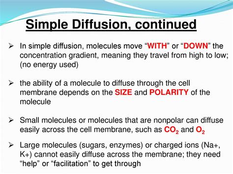 passive transport simple diffusion and osmosis ppt download