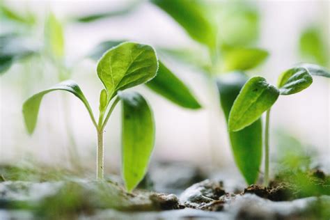 Environmental Data Science An Introduction Towards Data Science