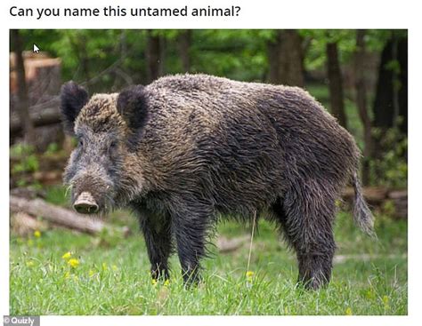 How Good Is Your General Knowledge Brain Bending Quiz Tests Science Geography And Maths Skills