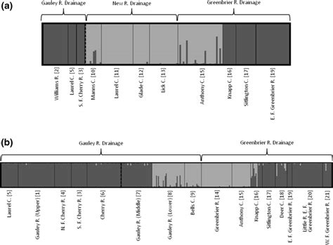 Structure Diagram Depicting Posterior Probability Of Assignment Download Scientific Diagram
