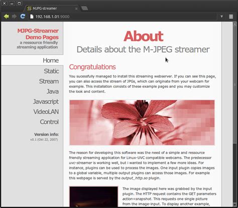 Raspberry Pi Camera Board Video Streaming