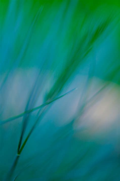 The Color Of Grass Theartaroundyou