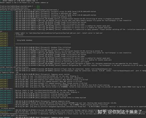 Keycloak 开源身份认证服务如何使用Docker搭建一 知乎