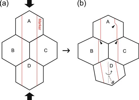 Schematic Illustrations Of Possible Grain‐scale And Download