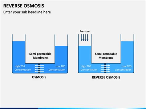 Reverse Osmosis PowerPoint And Google Slides Template PPT Slides