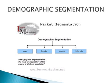 Market Segmentation Ppt Ppt Marketing And Advertising Business Market Segmentation Ppt Ppt Marketing And Advertising Business