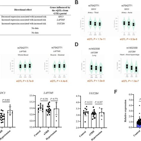 Eqtl Analysis Gene Expression Profiling Analysis And Rt Qpcr Assay Download Scientific