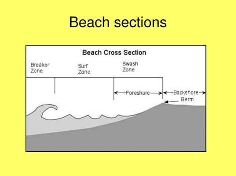 Ppt Zones Of The Ocean Powerpoint Presentation Free Download Id422508