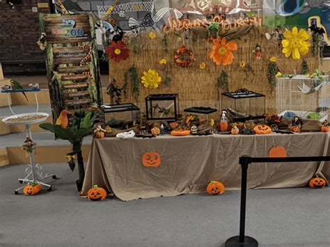 Institution Scolaire Services Éducazoo