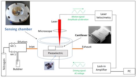 Physical And Mechatronic Systems Systems Design Engineering University Of Waterloo
