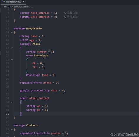 深入浅出Protobuf 的原理与实践 CSDN博客