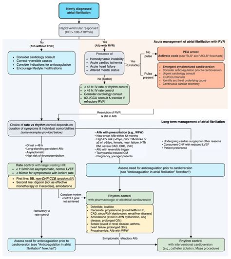 Atrial Fibrillation With Rvr Electrocardiogram Diagnosis For A 11