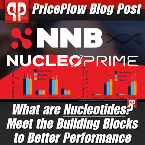 What Are Nucleotides And How Do They Affect Performance And Immunity