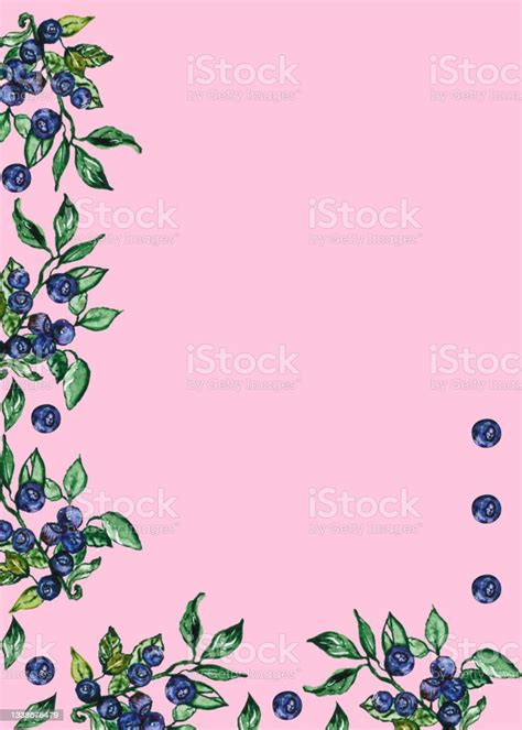 휴일 생일 블루 베리의 수채화 그림과 결혼식을위한 엽서 블루베리 머핀에 대한 스톡 벡터 아트 및 기타 이미지 블루베리 머핀 블루베리 0명 Istock