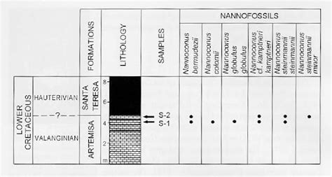 Figure 6 From New Data On The Lower Cretaceous Microfossil And Nannoconid Stratigraphy In The