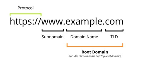 DNS Basics DEV Community