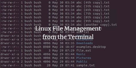 Linux File Management From The Terminal Vitux