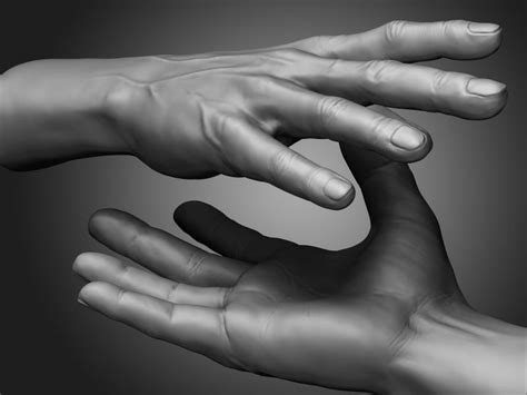 Akash Patra On Linkedin 3d 3dart Digitalsculpting Learning3d Anatomy Bnw Cgi Vfx Sessions…