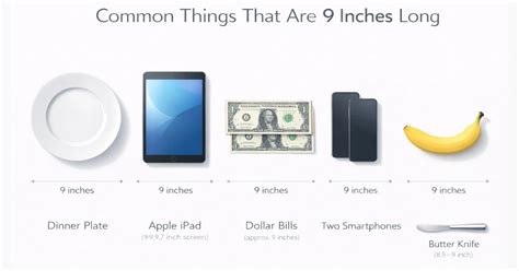9 Inches 6 Things With Pictures That Are 9 Inches Long