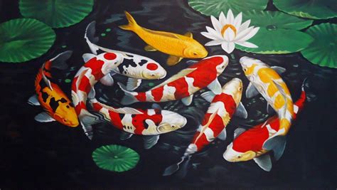 Menggambar Ikan Koi Dalchaebi