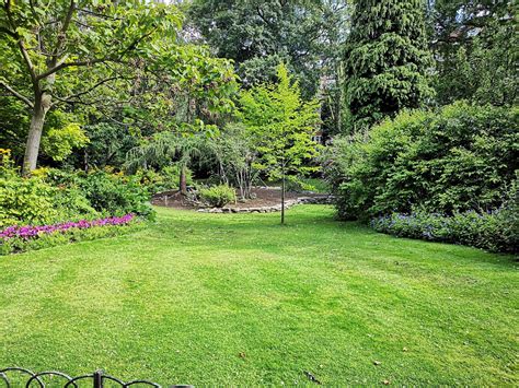 The Ultimate Guide To Flattening Your Uneven Lawn