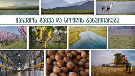 თბილისის საკრებულო Tbilisi City Assembly ჩუღურეთში დედის დღისადმი მიძღვნილი საზეიმო მიღება