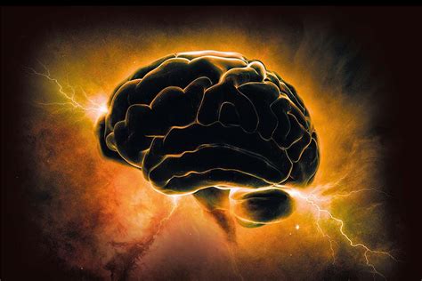 Instant Expert Mysteries Of The Mind New Scientist
