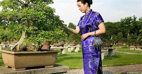 How Big Will A Bonsai Tree Get Bonsai Tree Help