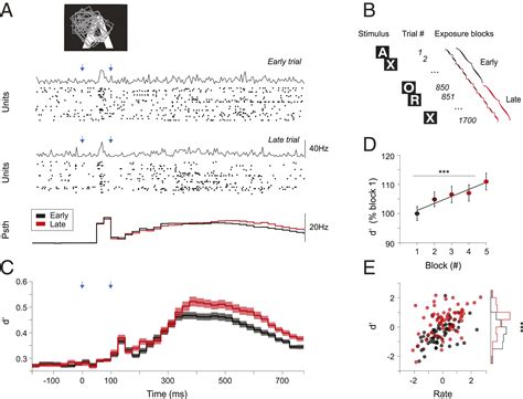 Visual Exposure Enhances Stimulus Encoding And Persistence In Primary Cortex Pnas