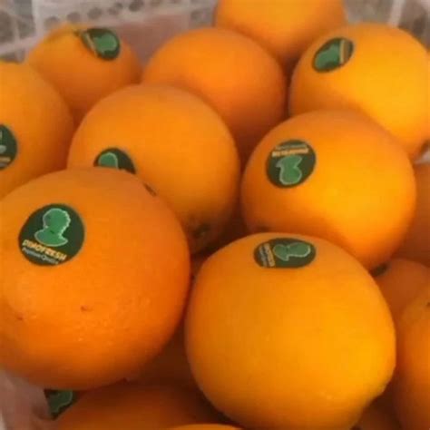 Jual Jeruk Navel Dino Size 56 Berat Kg Kota Surabaya Abadi Buah