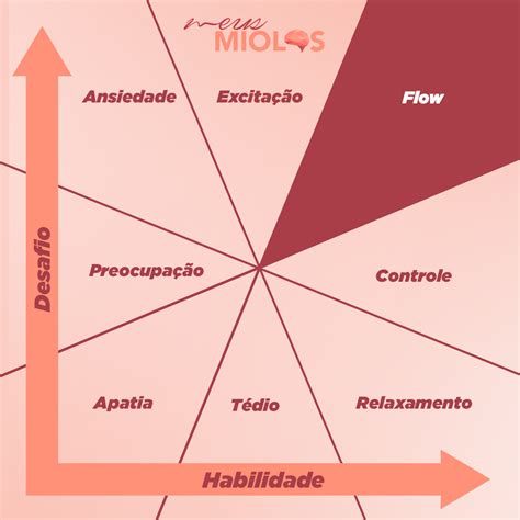 Tag Como Entrar Em Flow Meus Miolos