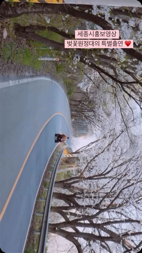 박서영 마스프 밀양투어 두번째 드로잉 장소 해천항일운동테마거리 밀양사람들은 그림에 관심이 참 많다 어제 스케치를 할때도 지나가는 행인들의 관심어린 시선들이 많았는데