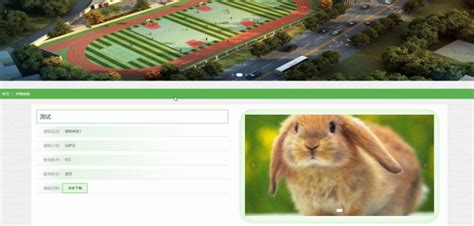 计算机毕业设计springboot vue的专业课在线自评自测系统的设计与实现 专业课在线自评自测系统的设计与实现：基于spring boot与vue的高效解决方案 csdn博客