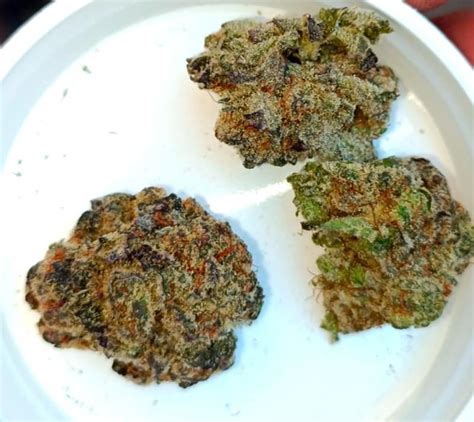 Purple Batch Of Beacon Girl Scout Cookies Lot1621gs51201 R