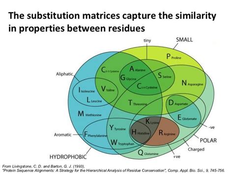 bioedit sequence similarity baselasopa
