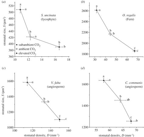 Stomatal Size And Density Covary With Co 2 A D Negative Relationship
