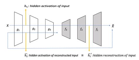 The Reconstruction Along Projection Pathway Rapp Method The Hidden Download Scientific