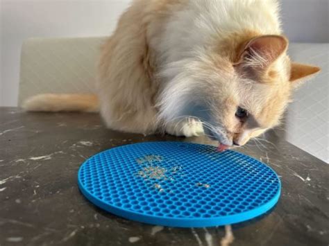 Whats A Lick Mat And Does It Help Cats Pros Cons And Faq Catster