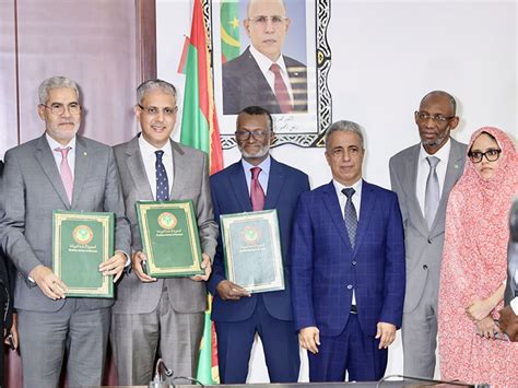 Mauritania First Solar Wind Ppp Plant To Improve Energy Access Esi