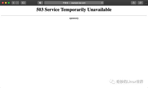 手把手教你深度定制 Kubernetes Nginx Ingress 错误提示页面 墨天轮
