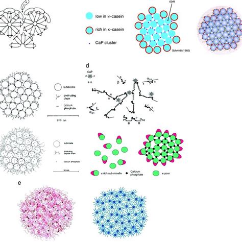 Pdf Casein Micelles And Their Internal Structure