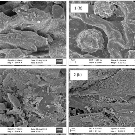 sem micrographs of 1 cpp and 2 ac a before and b after