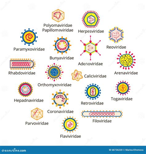 Classification Of Viruses Stock Vector Illustration Of Double 68736220