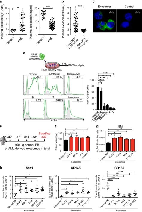 Acute Myeloid Leukemia Transforms The Bone Marrow Niche Into A Leukemia