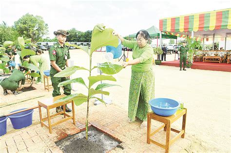 ကာကွယ်ရေးဦးစီးချုပ်ရုံး ကြည်း၊ ရေ၊ လေ မိသားစုများ၏ ၂ဝ၂၅ ခုနှစ် ပထမအကြိမ် မိုးရာသီသစ်ပင်စိုက်ပ