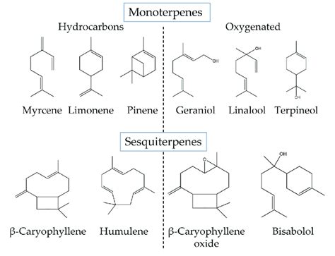 Chemical Structure Of The Main Terpenes Found In C Sativa Download
