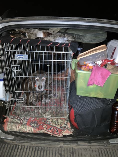 D0 D569 E0 9131 44 E8 9 F67 D09449 Ab8 Cd9 — Postimages