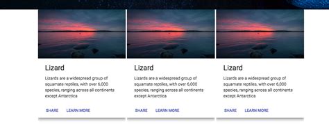 Reactjs Image On Material Ui Cardmedia Stack Overflow