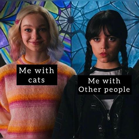 40 Wednesday Addams Memes From The Coolest Netflix Series Bored Panda